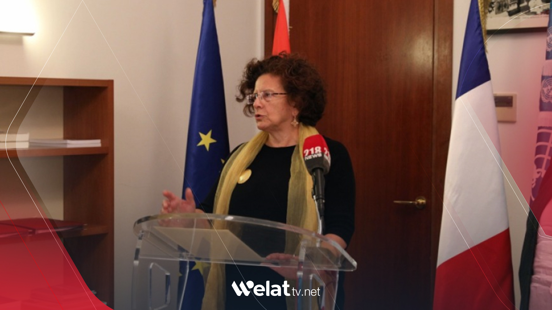 French envoy to Syria retires from her position | Welat TV
